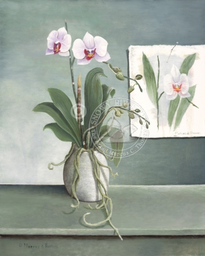 The Art Of Marcus C. Thomas : Originals