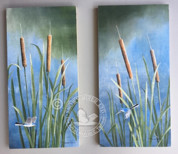 The Art Of Marcus C. Thomas : Originals