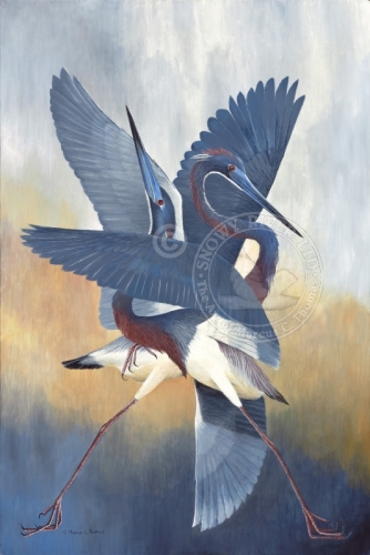 The Art Of Marcus C. Thomas : Originals