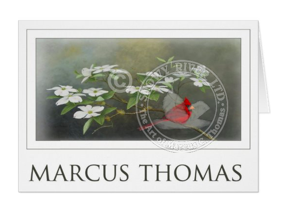 The Art Of Marcus C. Thomas : Museum Notecards