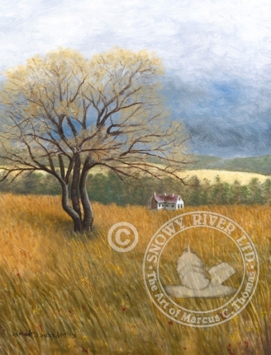 The Art Of Marcus C. Thomas : Limited Edition