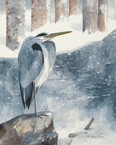 The Art Of Marcus C. Thomas : Originals