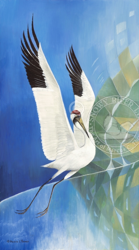 The Art Of Marcus C. Thomas : Originals