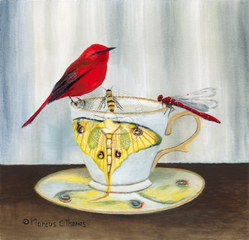 The Art Of Marcus C. Thomas : Originals