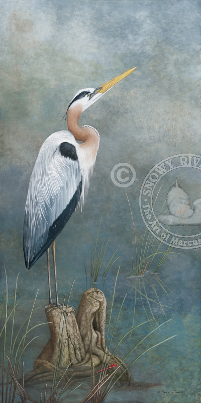 The Art Of Marcus C. Thomas : Originals