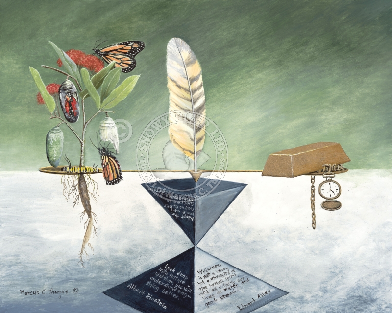 The Art Of Marcus C. Thomas : Originals