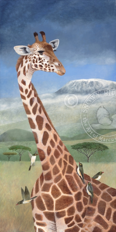 The Art Of Marcus C. Thomas : Originals