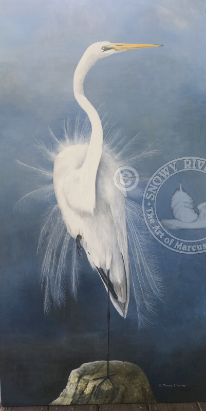 The Art Of Marcus C. Thomas : Originals