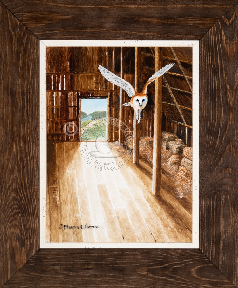 The Art Of Marcus C. Thomas : Originals