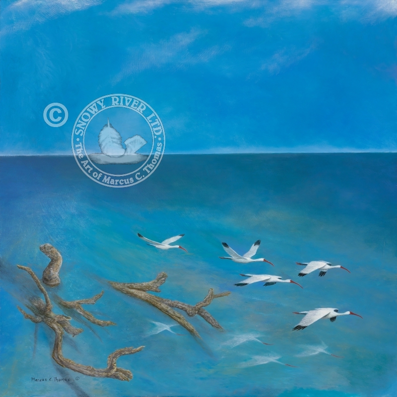 The Art Of Marcus C. Thomas : Originals