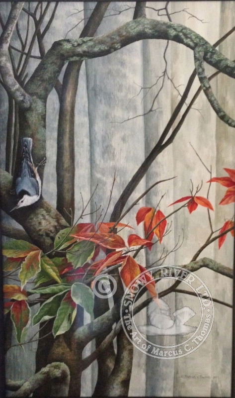 The Art Of Marcus C. Thomas : Originals